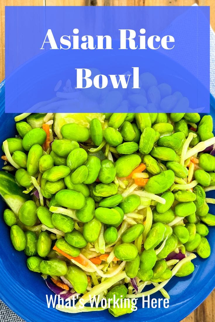 Asian Rice Bowl What s Working Here Asian Rice Bowl What s Working Here